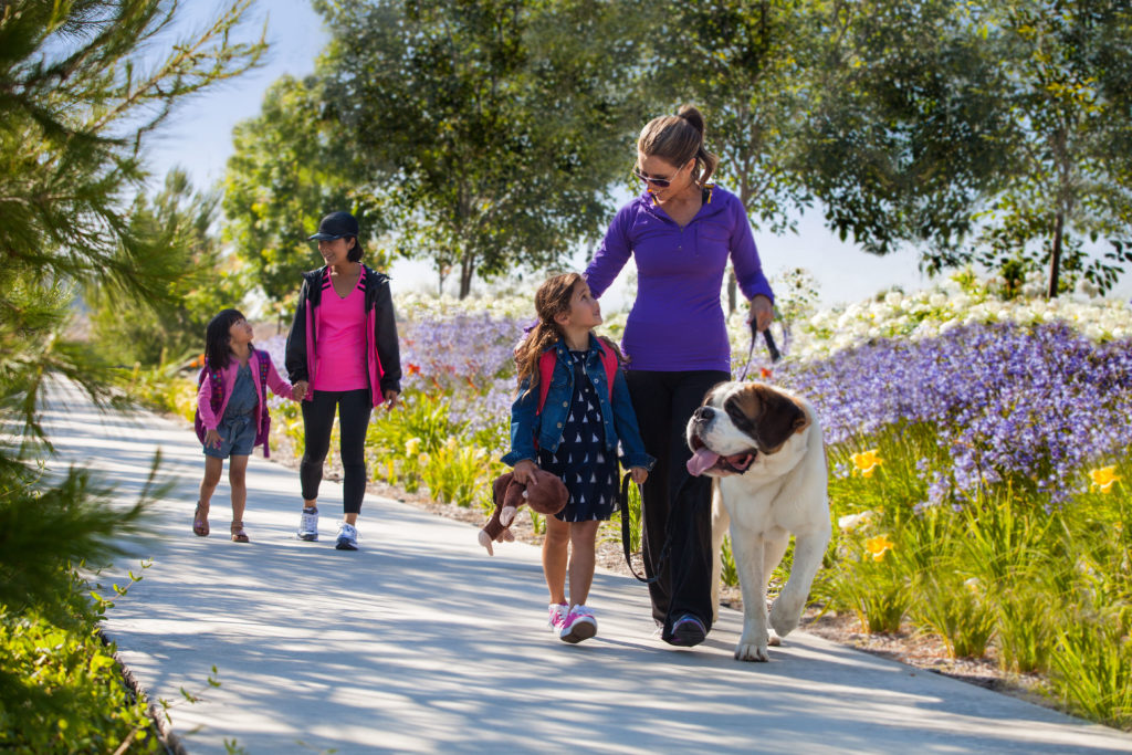 How Irvine Became The City Of Intellect
