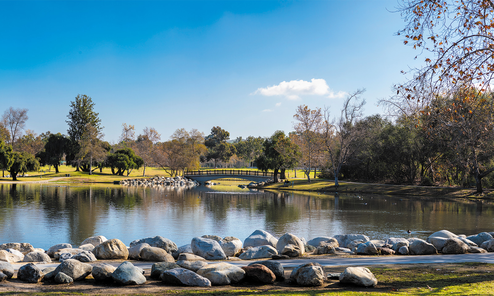 10,000 steps at Mason Regional Park - Irvine Standard