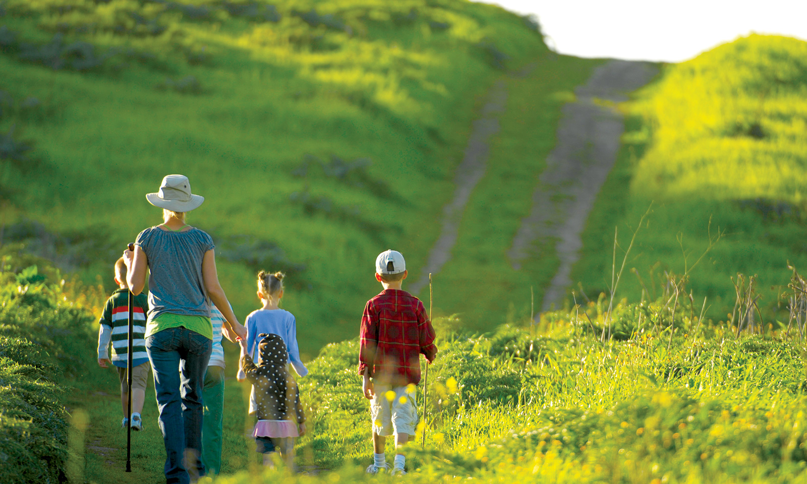 Quail Hill named best trail in OC