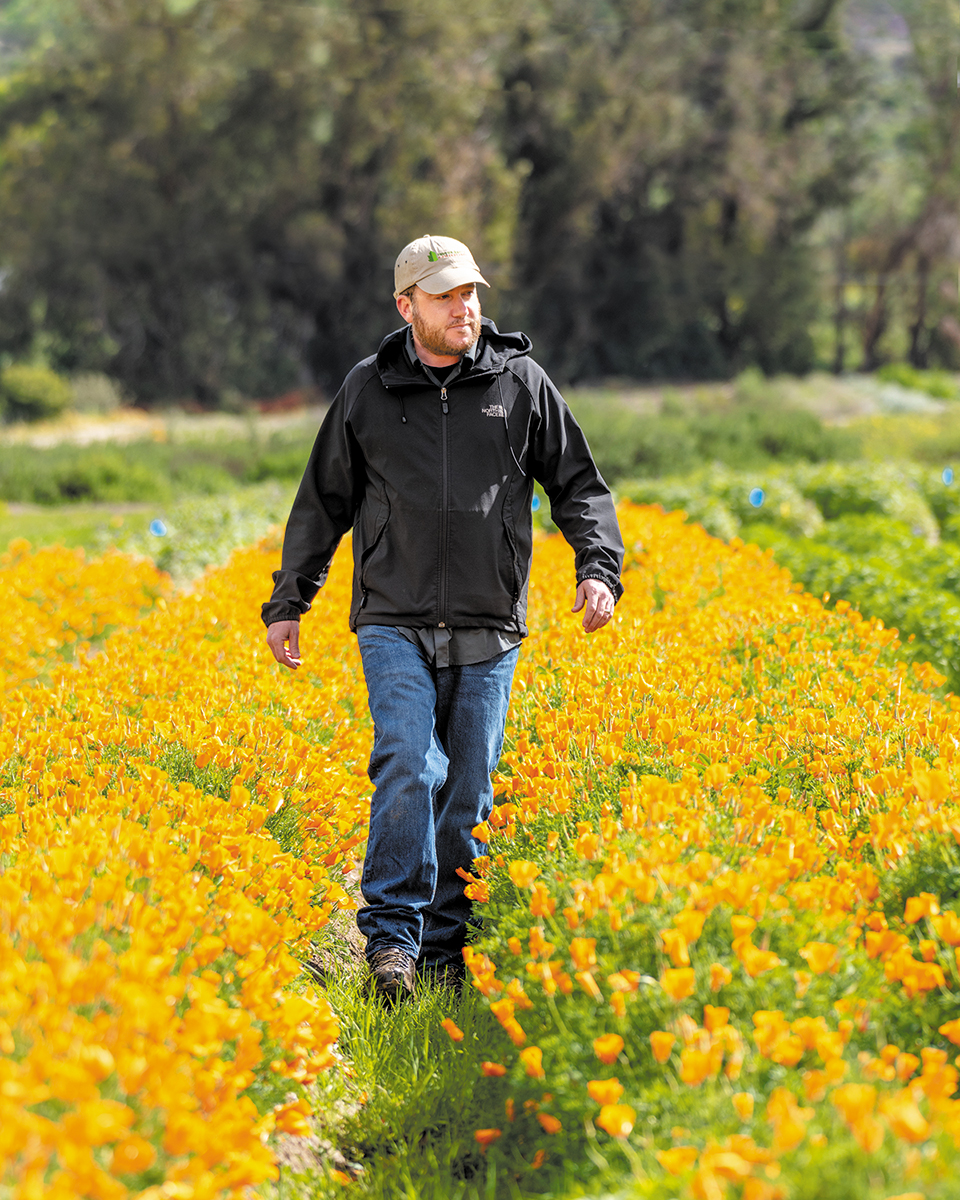 Irvine’s wildflower ‘super bloom’ is calling