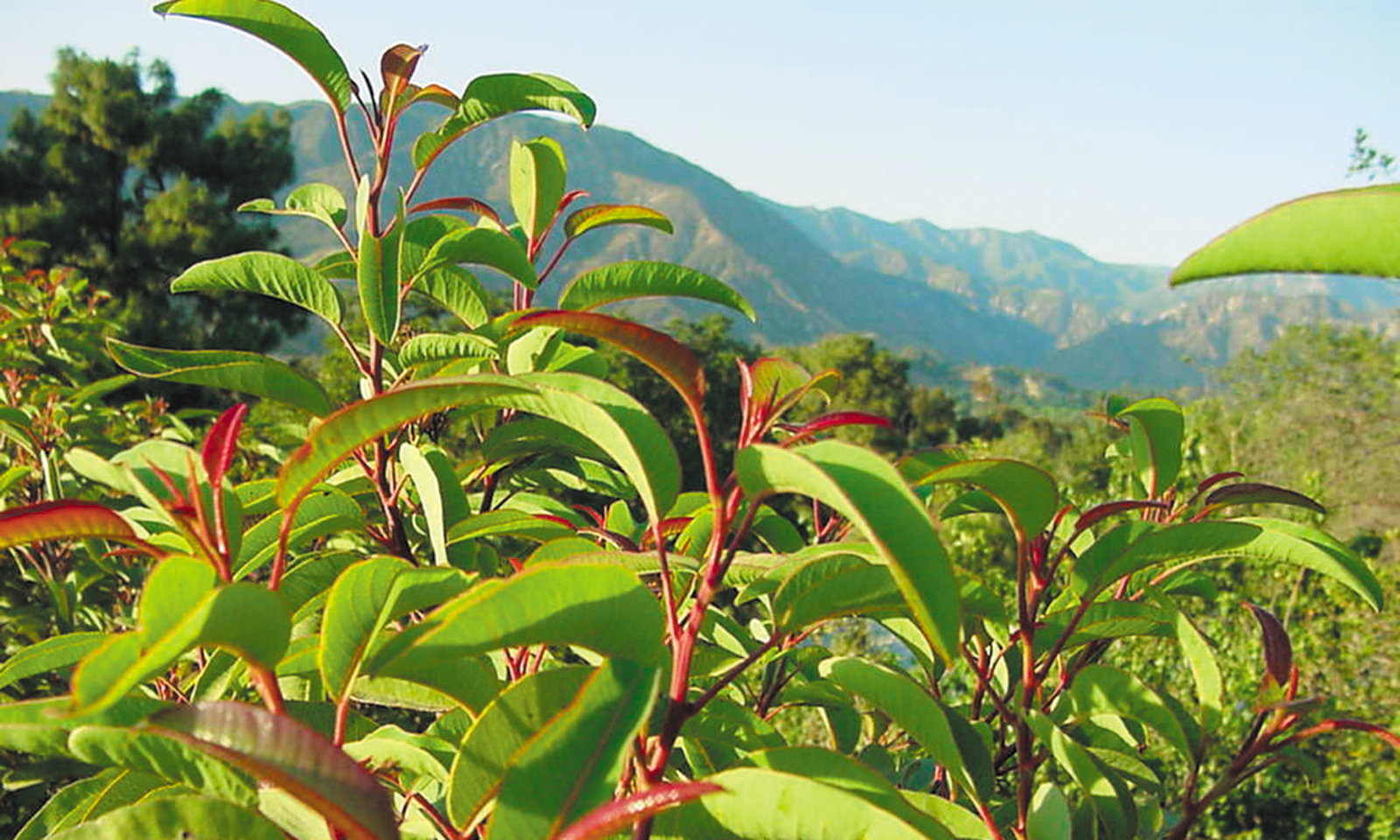 How to see your next hike in a new light