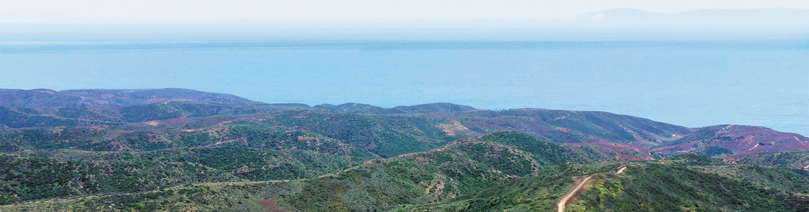 Irvine Weather Report - Irvine Standard