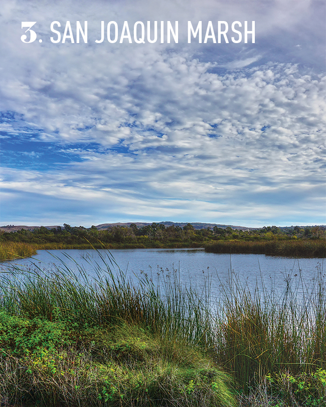 Open spaces of The Irvine Ranch