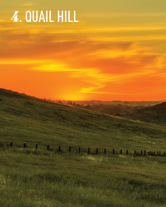 Open spaces of The Irvine Ranch