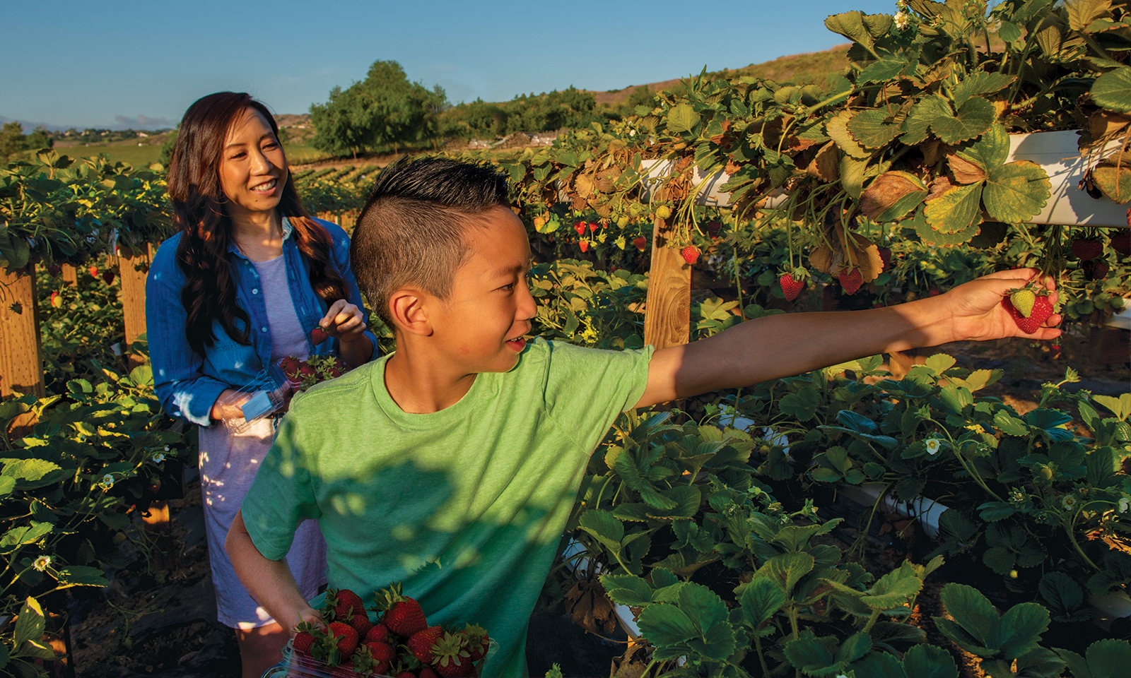 A tradition of family fun on the farm