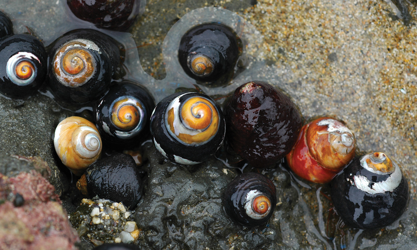 Discover Crystal Cove in a new way