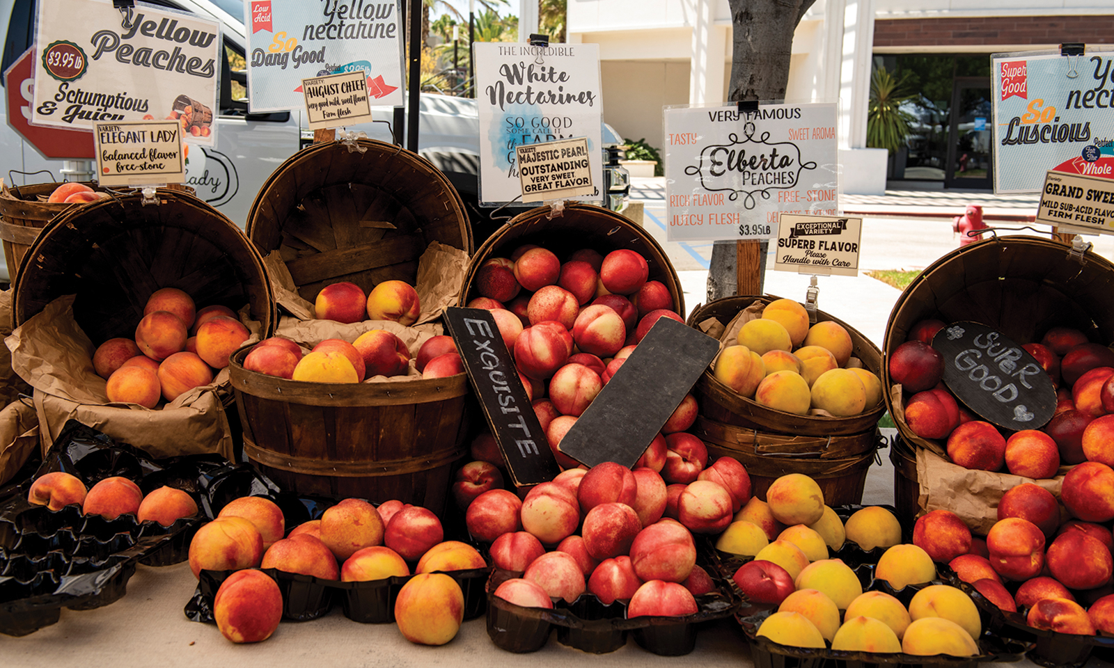 Farm-fresh fruits and vegetables - Irvine Standard