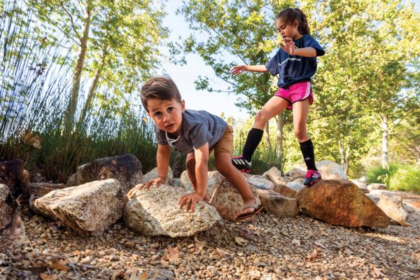 Irvine Ranch Open Space - Irvine Standard