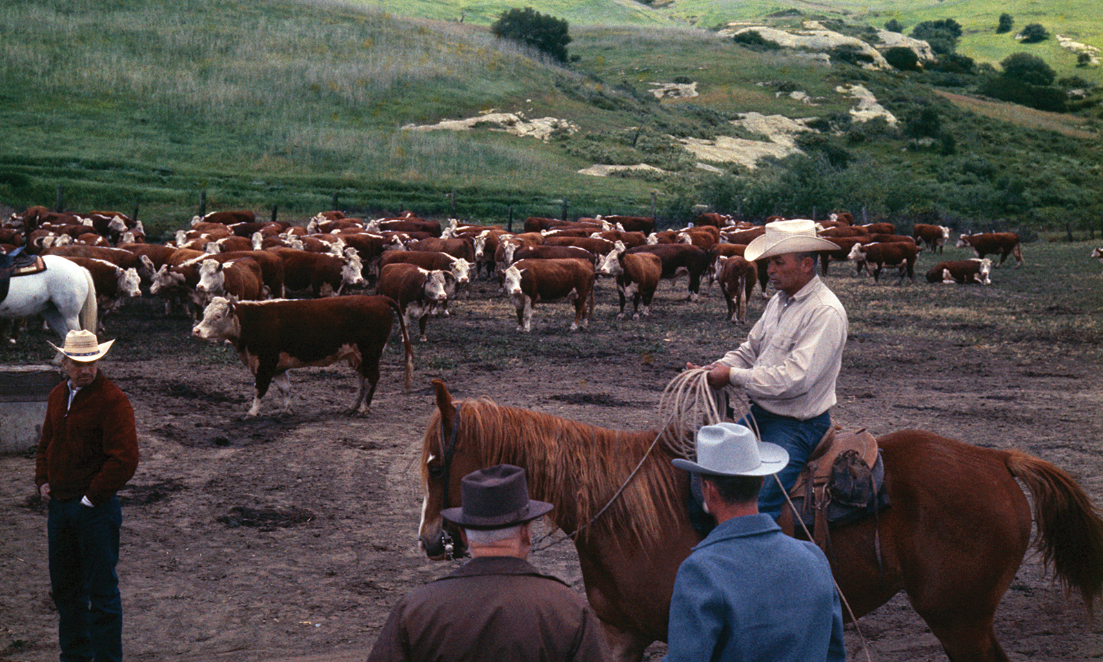 Bommer Canyon’s Cattle Camp is getting a ‘rustic’ upgrade