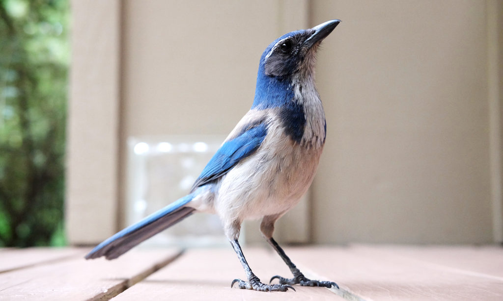 Connecting with nature