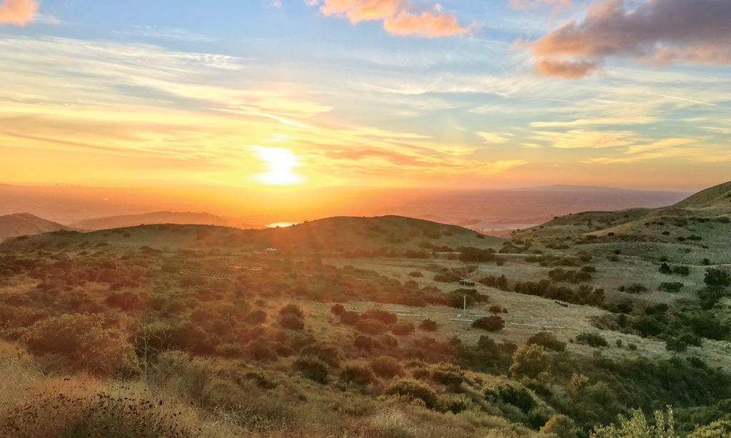 ‘LIKE A NATIONAL PARK IN YOUR BACKYARD’