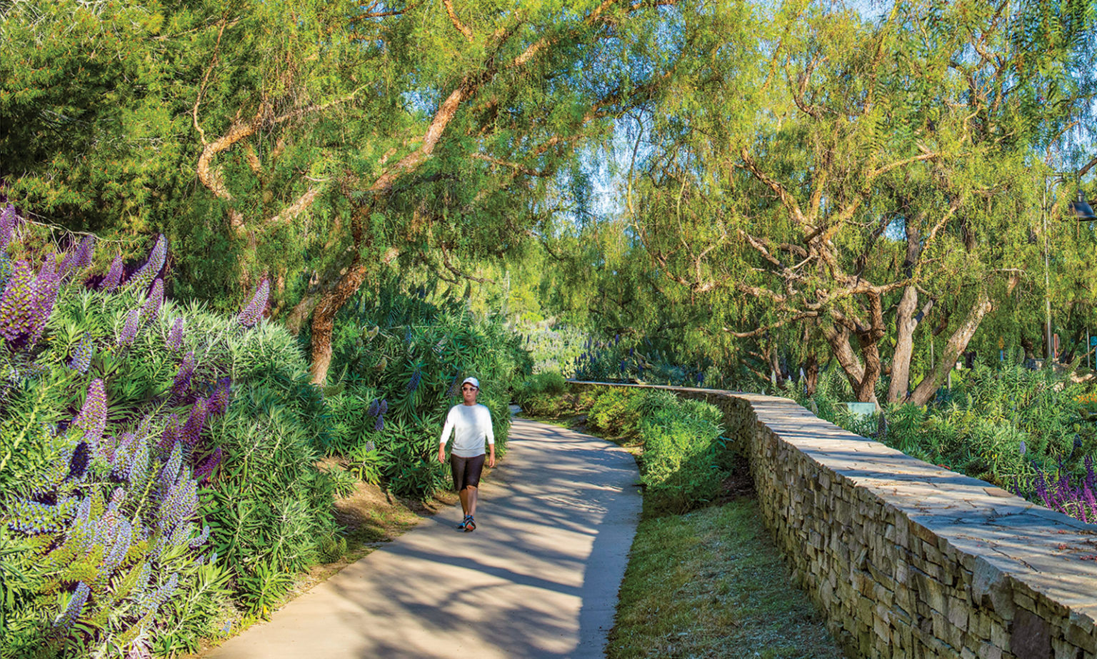 Shady Canyon: One of OC’s most prestigious communities