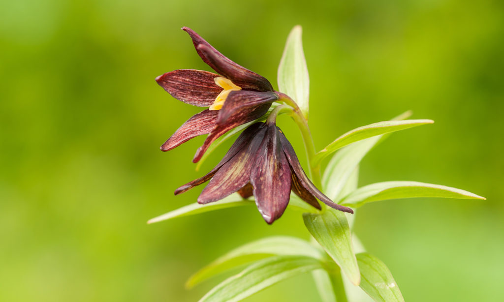 A guide to the great outdoors