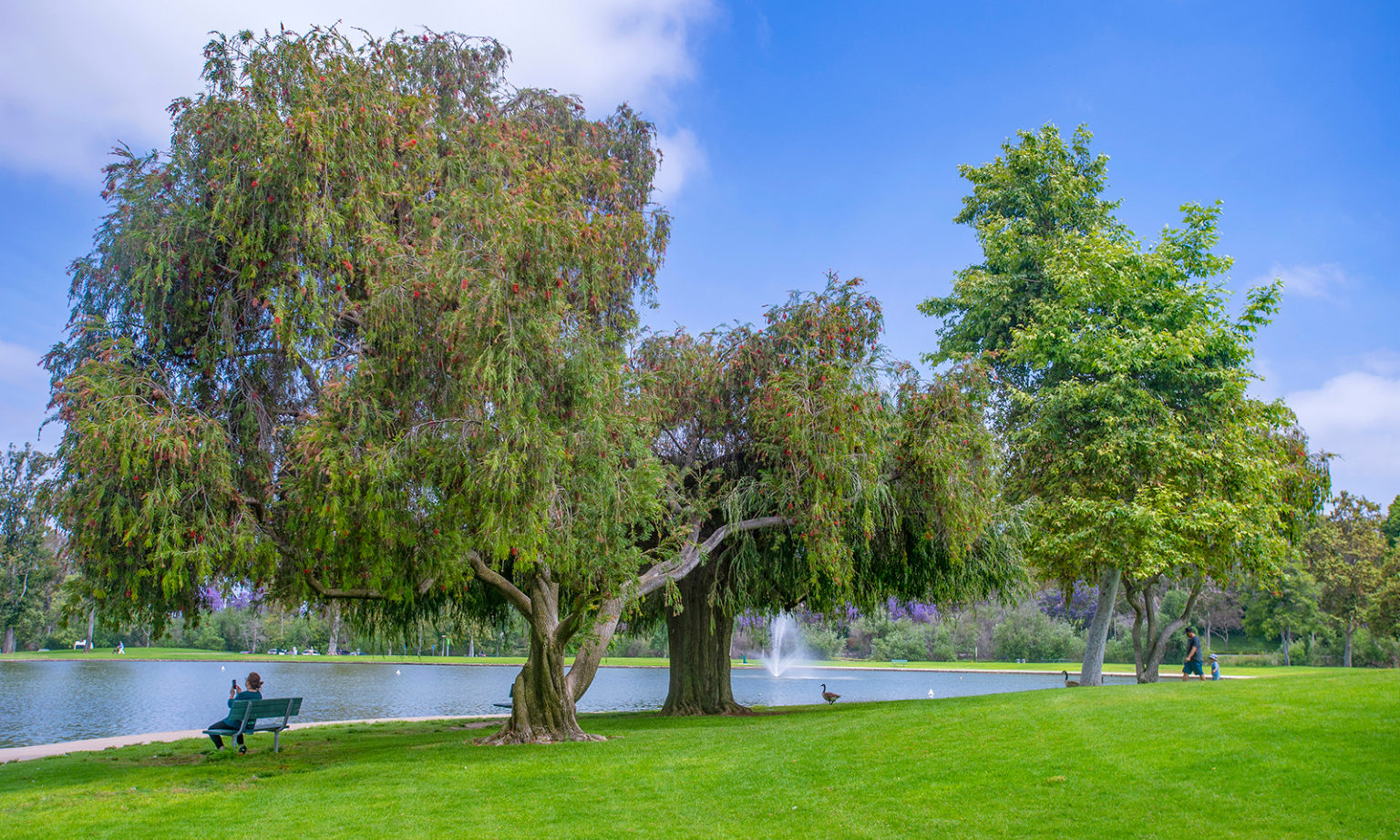 2022 IRVINE PARKS GUIDE