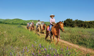 Saddle up and ride The Irvine Ranch