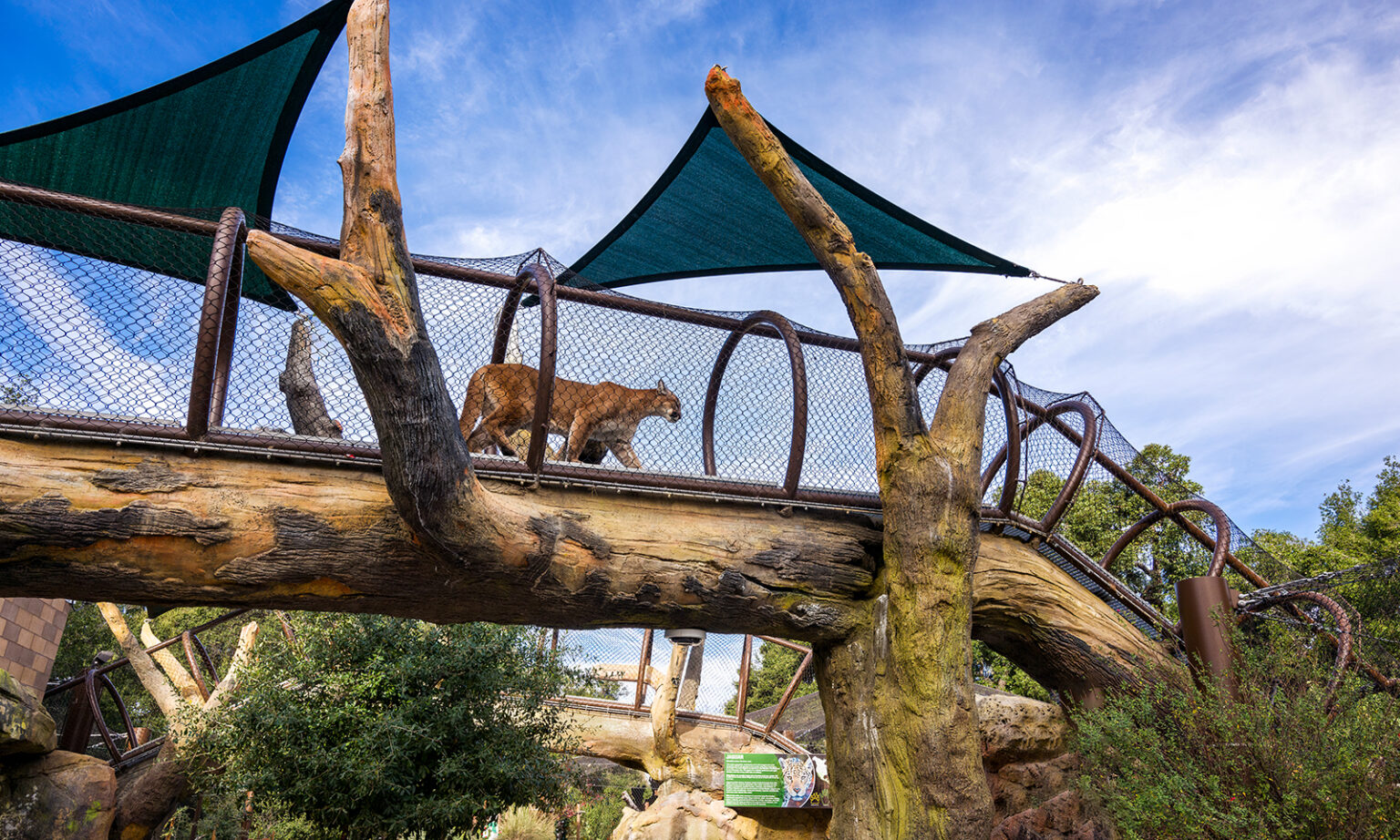 OC Zoo opens new Large Mammal Exhibit - Irvine Standard