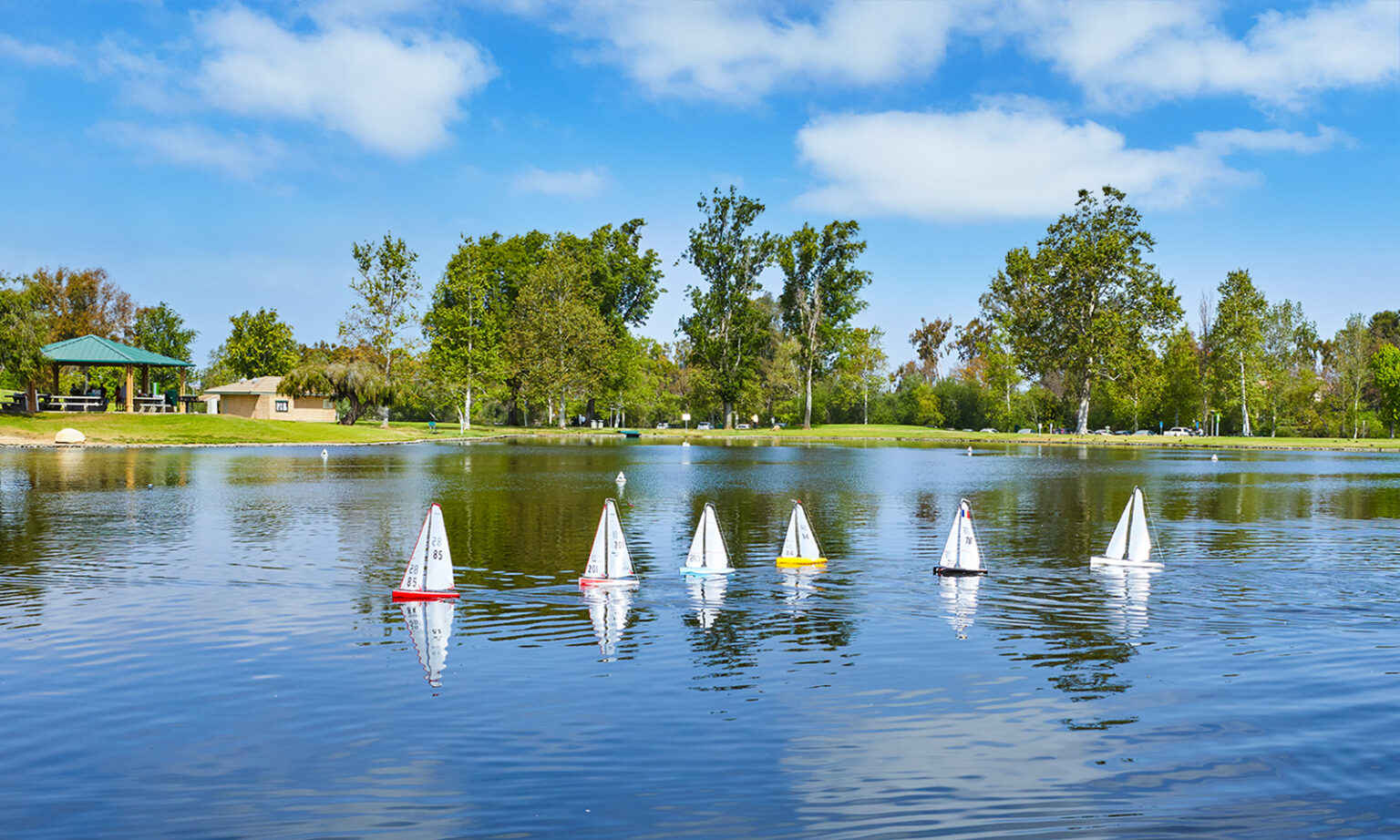 10,000 steps at Mason Regional Park - Irvine Standard