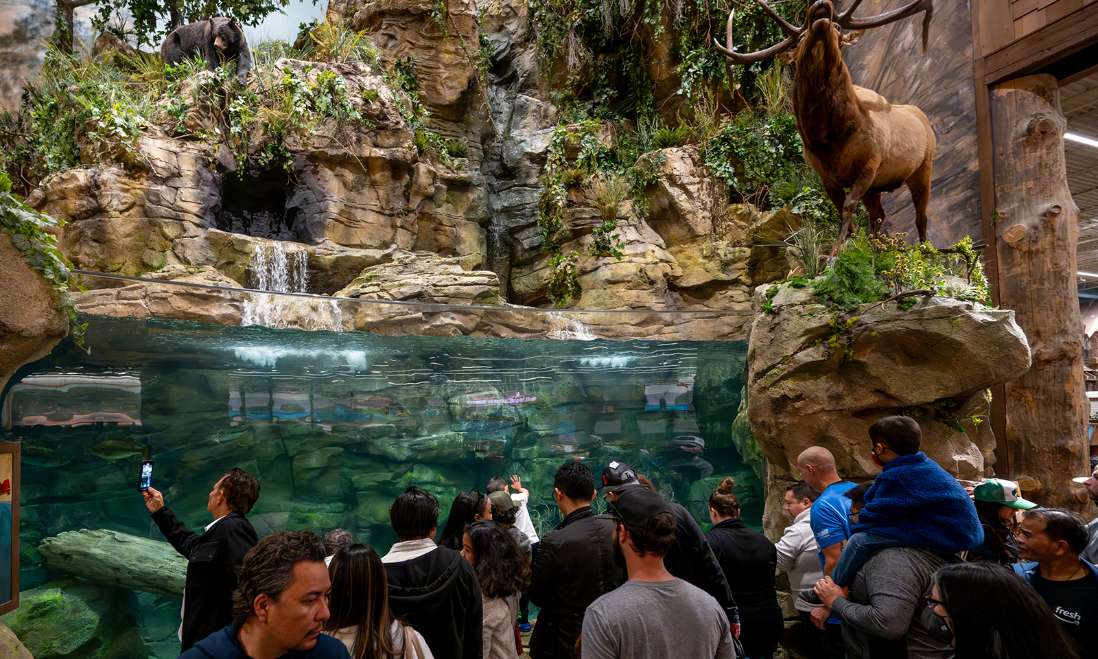 Bass Pro Shops opening is one for the ages - Irvine Standard