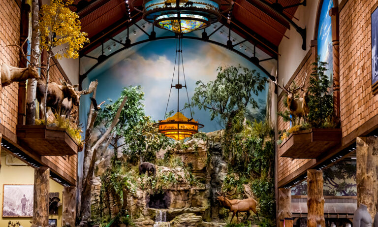 Bass Pro Shops opening is one for the ages - Irvine Standard