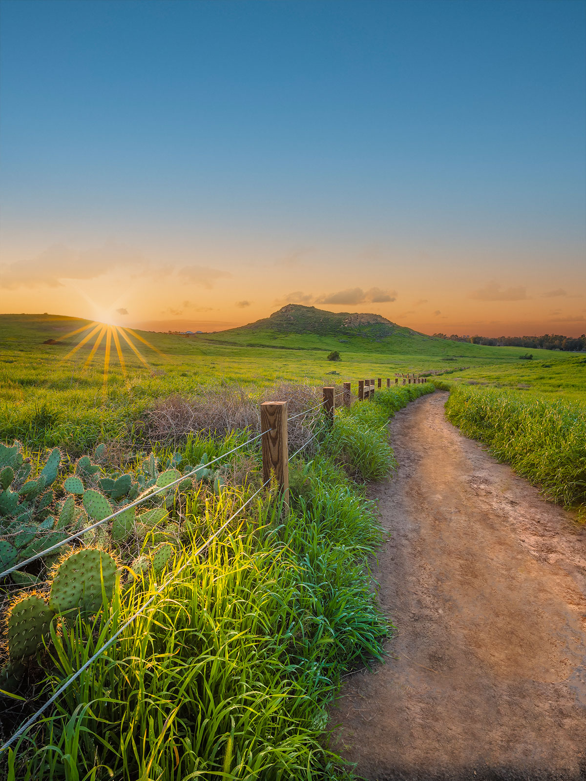 Loop trail reveals hidden wonders to the curious hiker - Irvine Standard