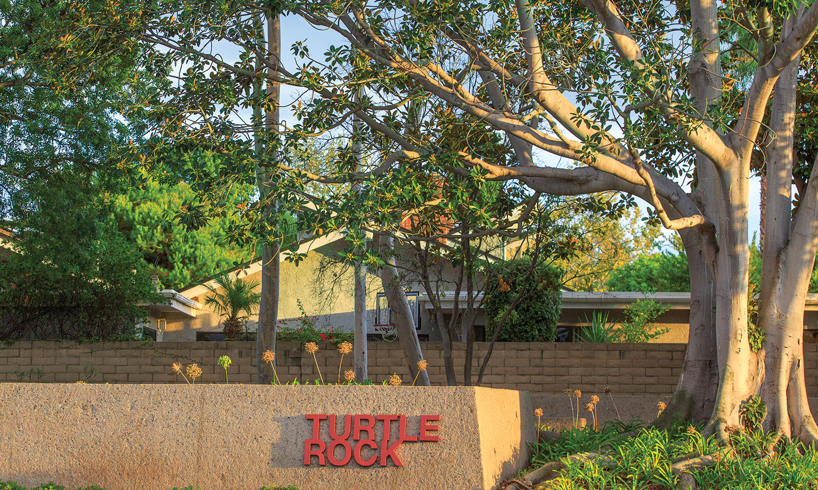 Hidden in plain sight: Subtleties of the Master Plan - Irvine Standard