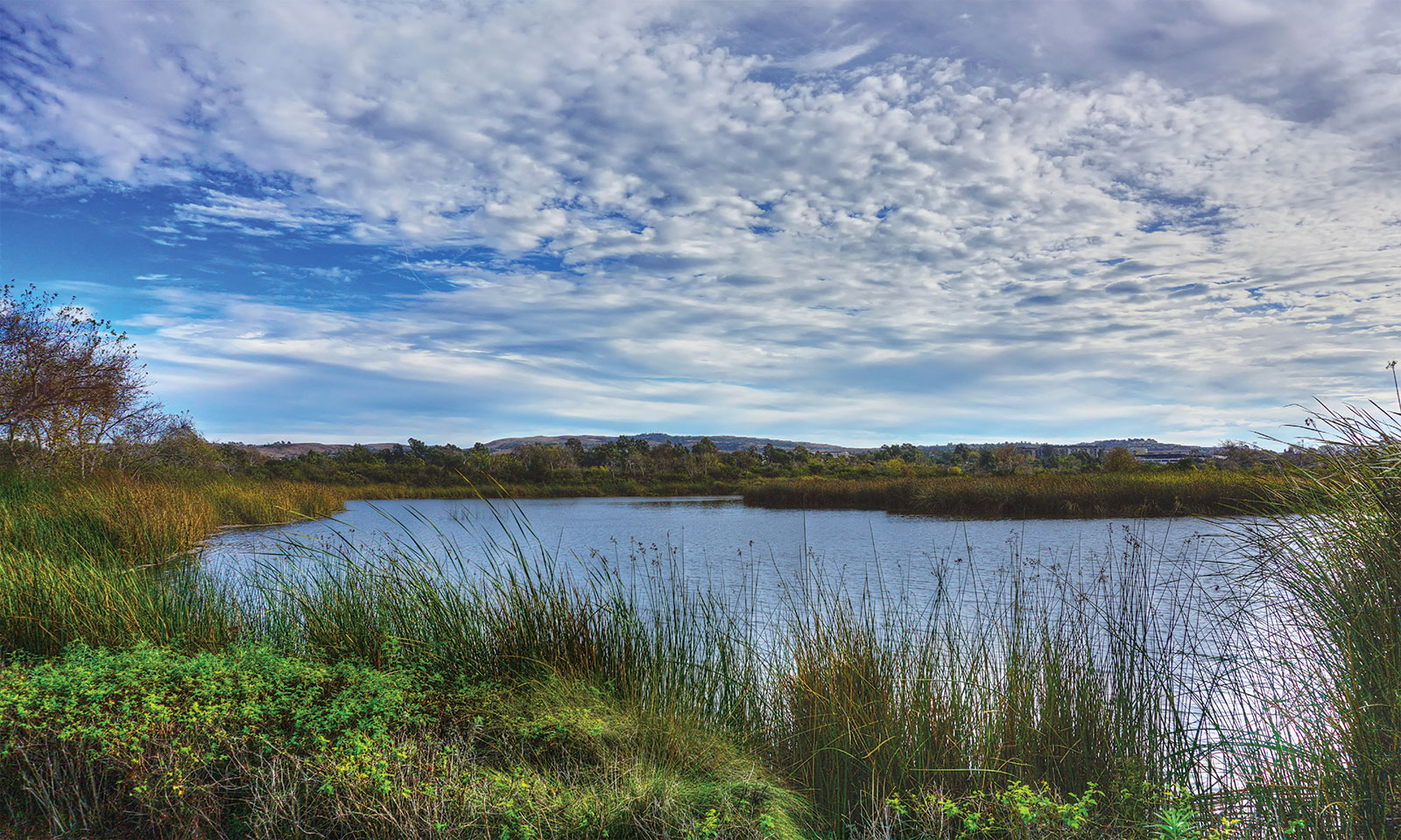 3 great starter hikes in Irvine - Irvine Standard